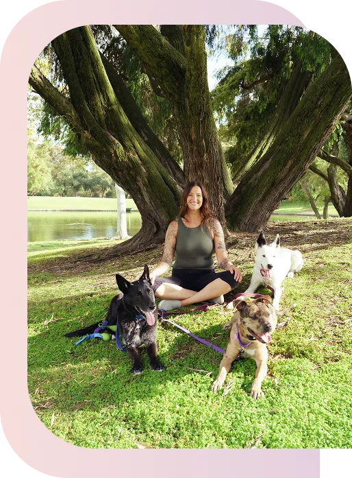 Dog Training - Recoaching